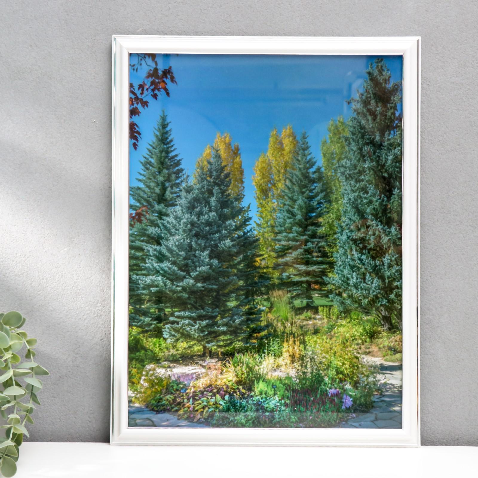 Фоторамка 30х40 281S белая с серебром (пластиковый экран) (1361747 ...