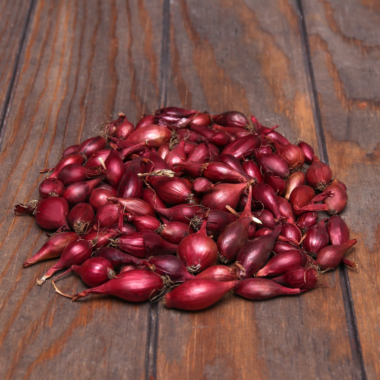 Лук севок Кармен , р-р 18-21, 5 кг, Весна 2025 (5554167) - Купить по ...