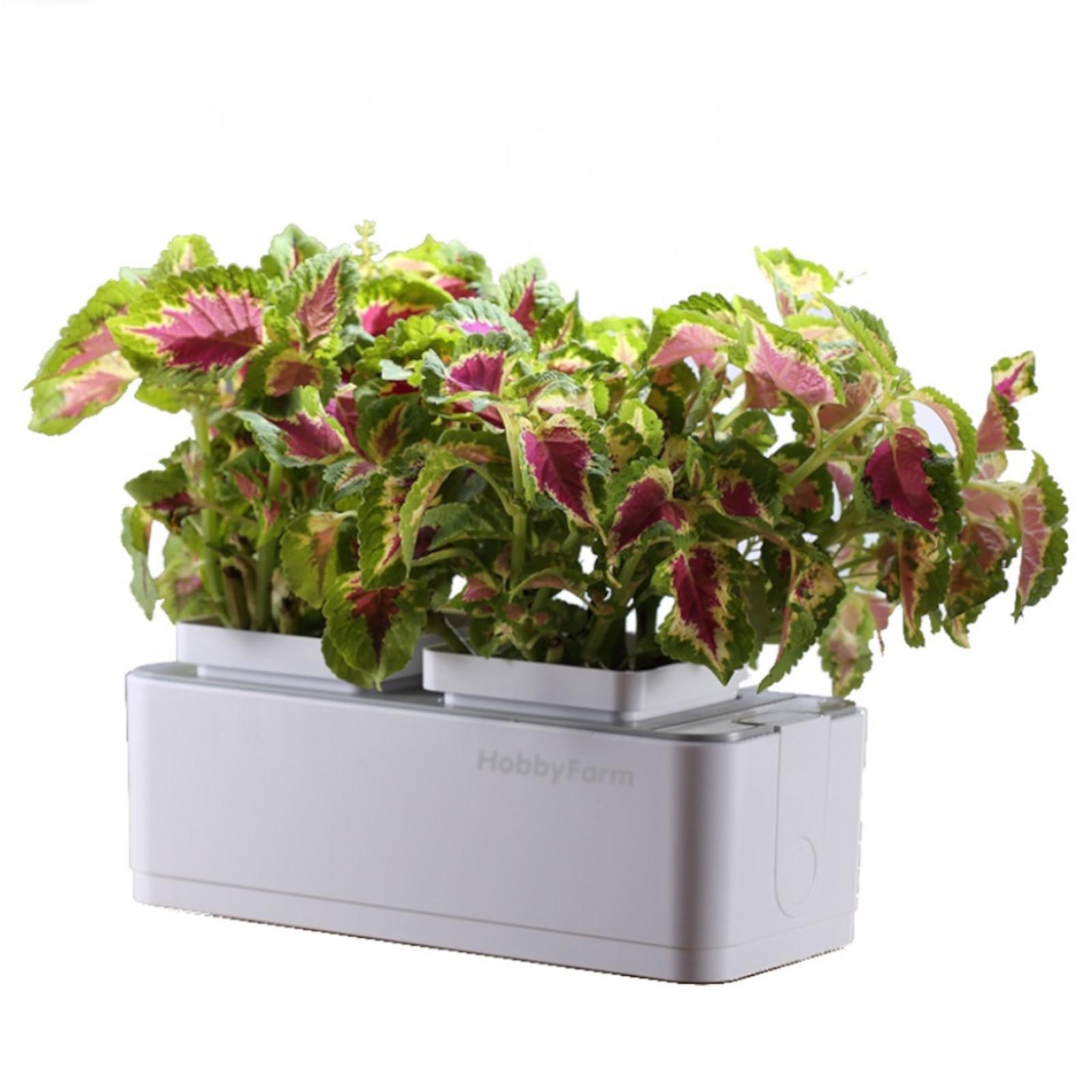 Гидропонная установка, HobbyFarm Mini (6483338) - Купить по цене от 3 ...