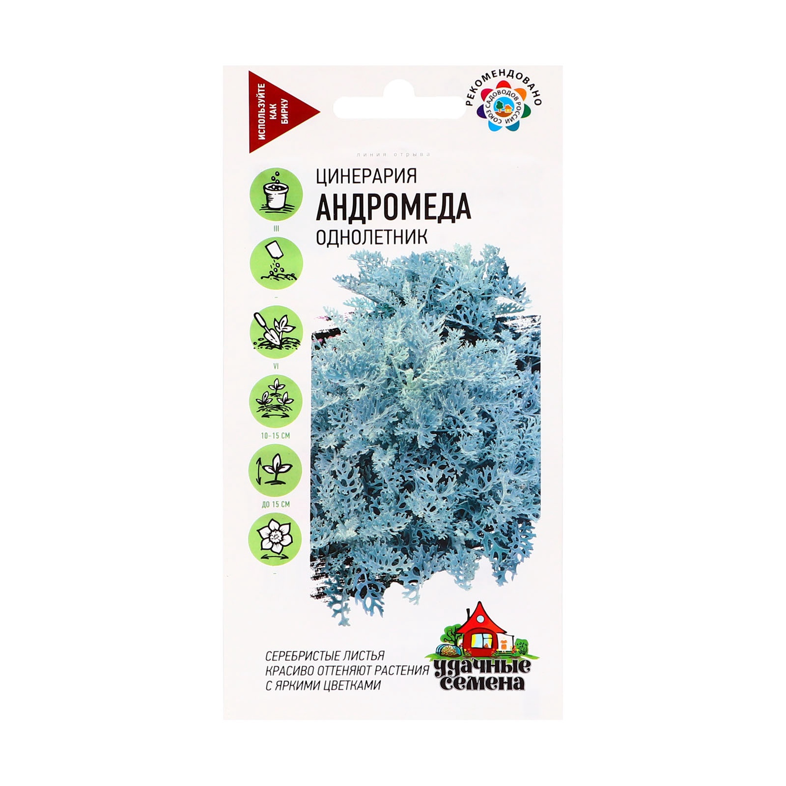 Семена Цинерария приморская "Андромеда", 0,05 г (7613778) - Купить по ...