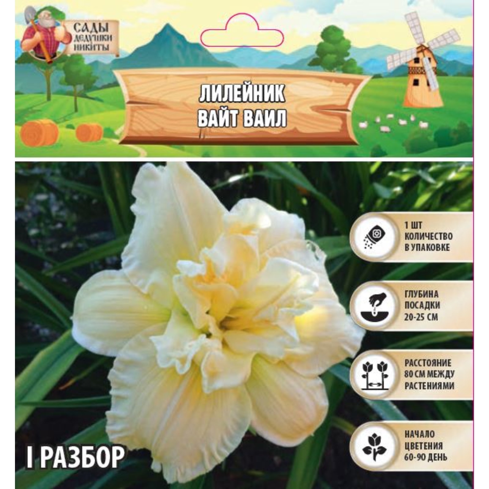 Лилейник "White Vail", р-р I, 1 шт, (9492040) - Купить по цене от 352. ...