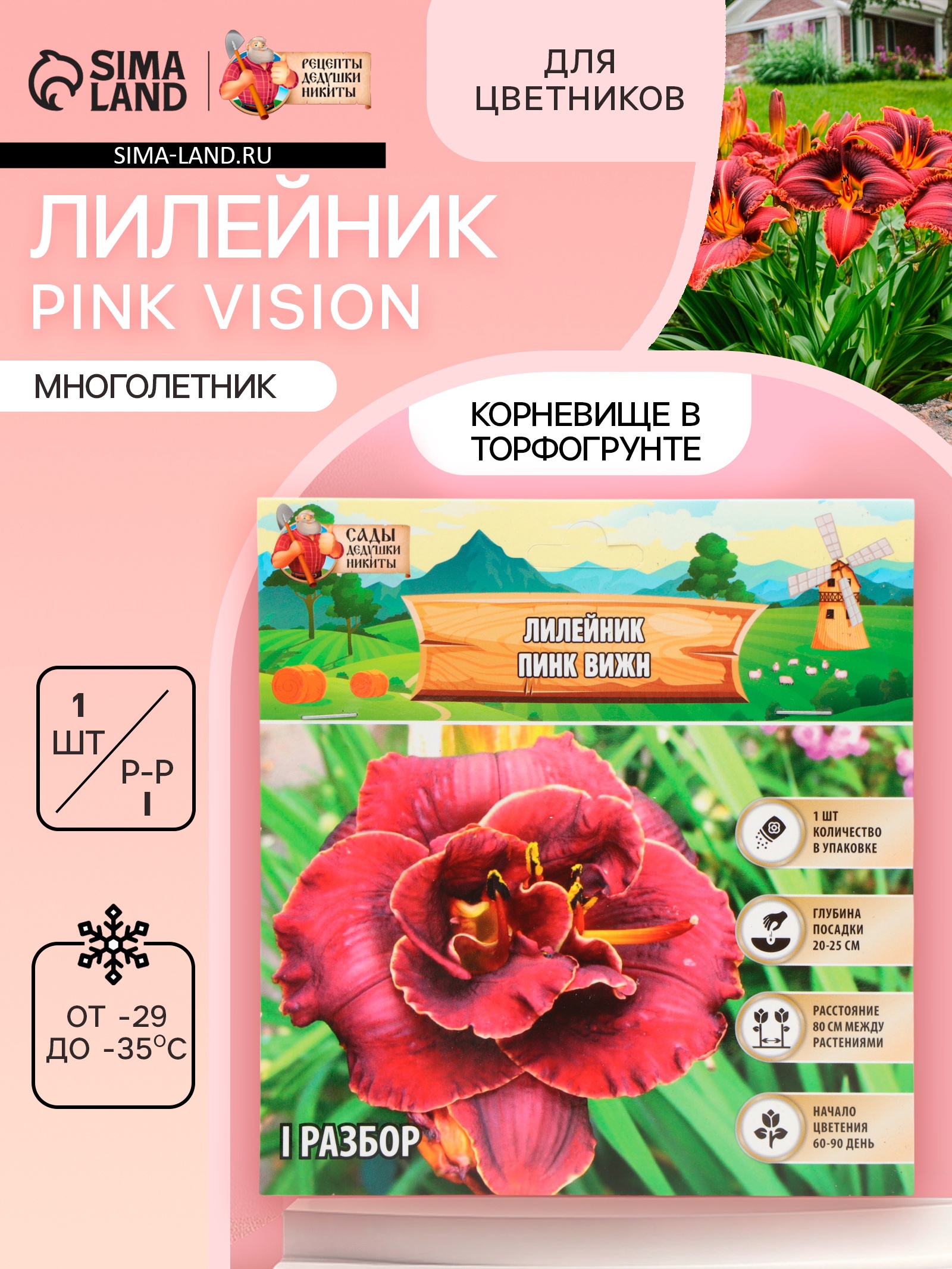 Лилейник "Pink Vision", р-р I, 1 шт, Весна 2024 (9492068) - Купить по ...