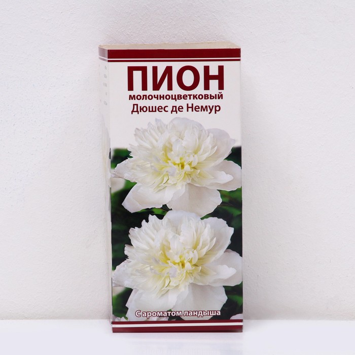 Пионы молочноцветковые и гибриды "Дюшес де Немур", 1 шт, р-р 2-3, Весна ...