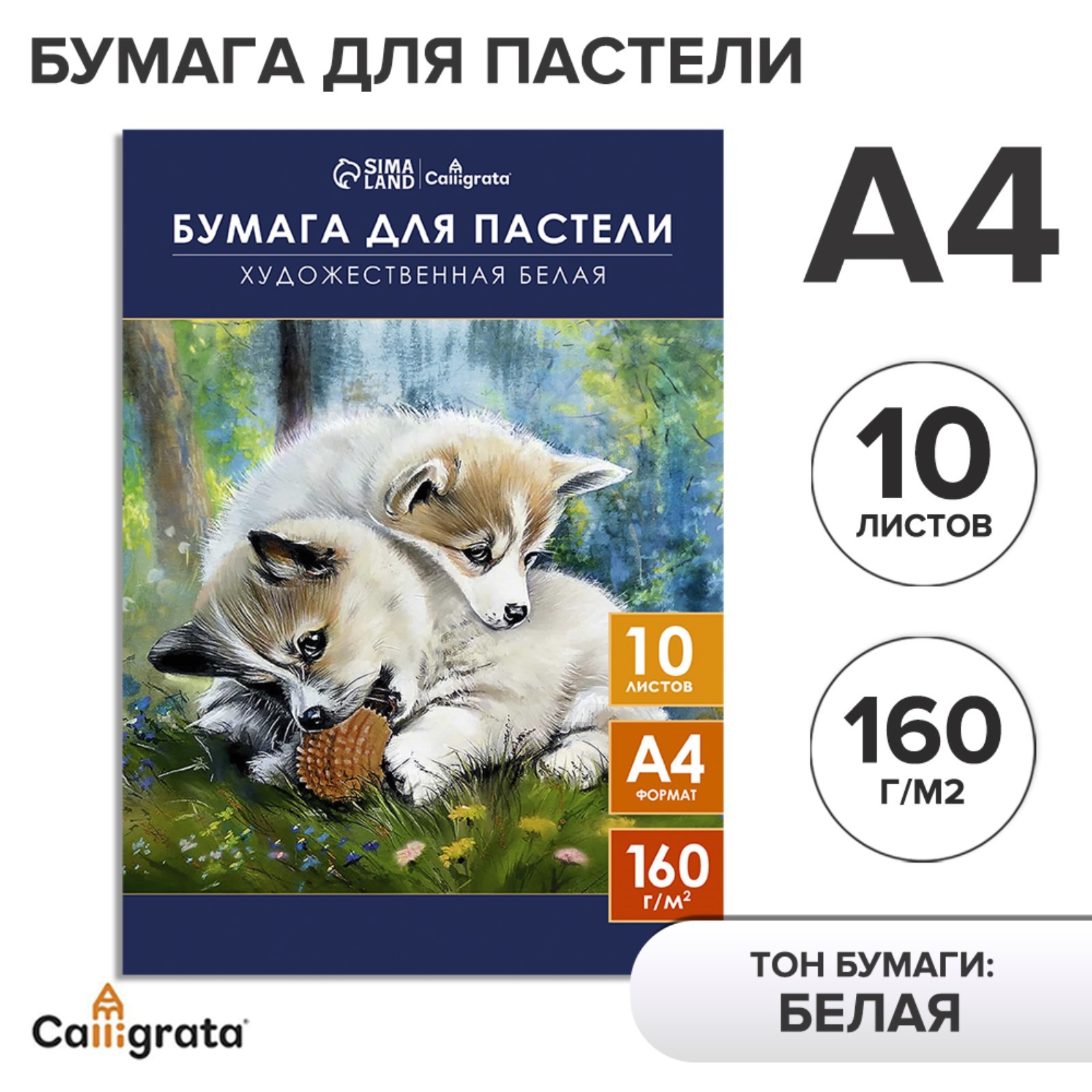 Бумага для пастели А4, 10 листов "Щенки", блок 160 г/м2, в папке ...