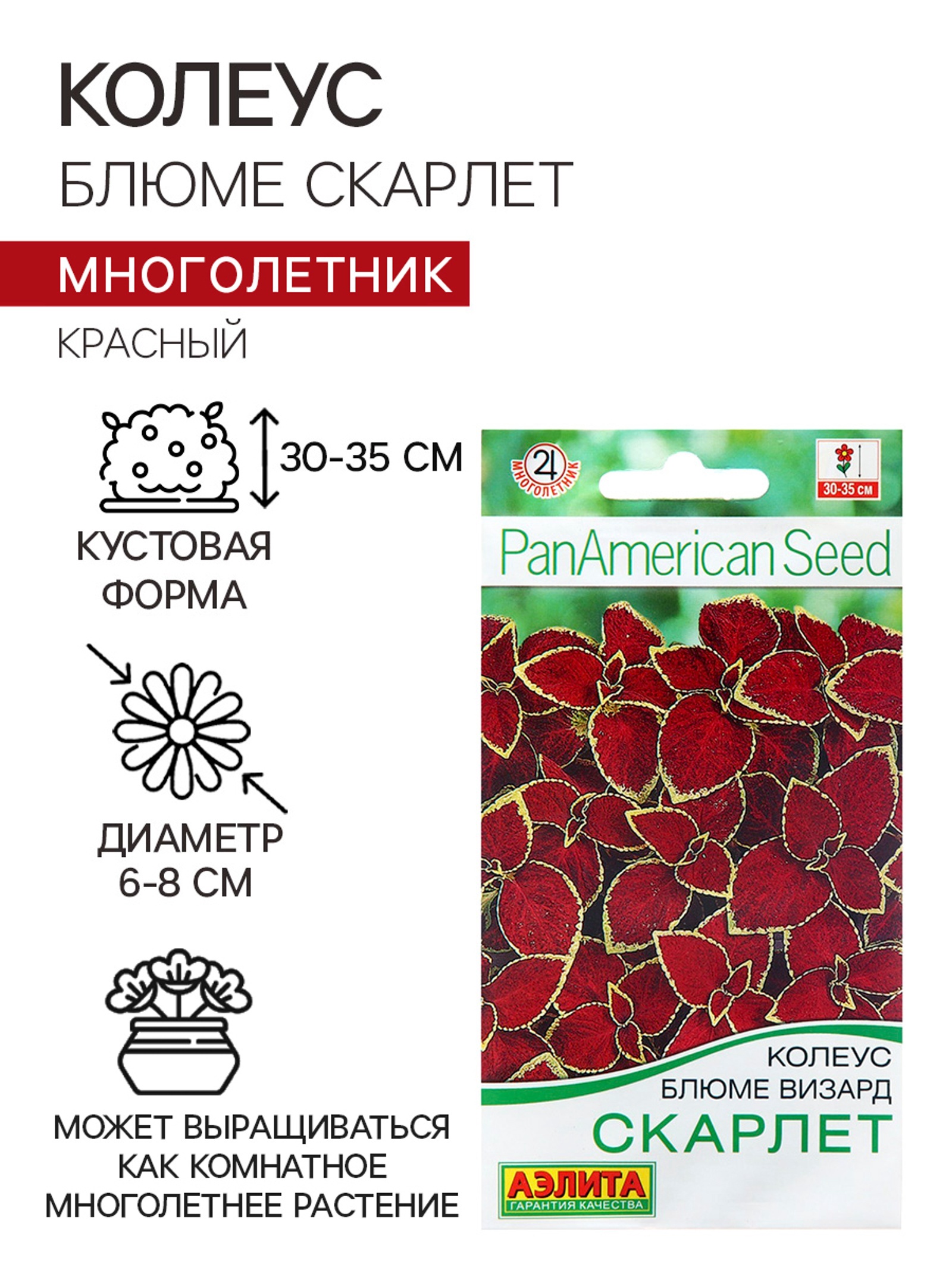 Семена цветов Колеус блюме визард «Скарлет», 5 шт., многолетник ...