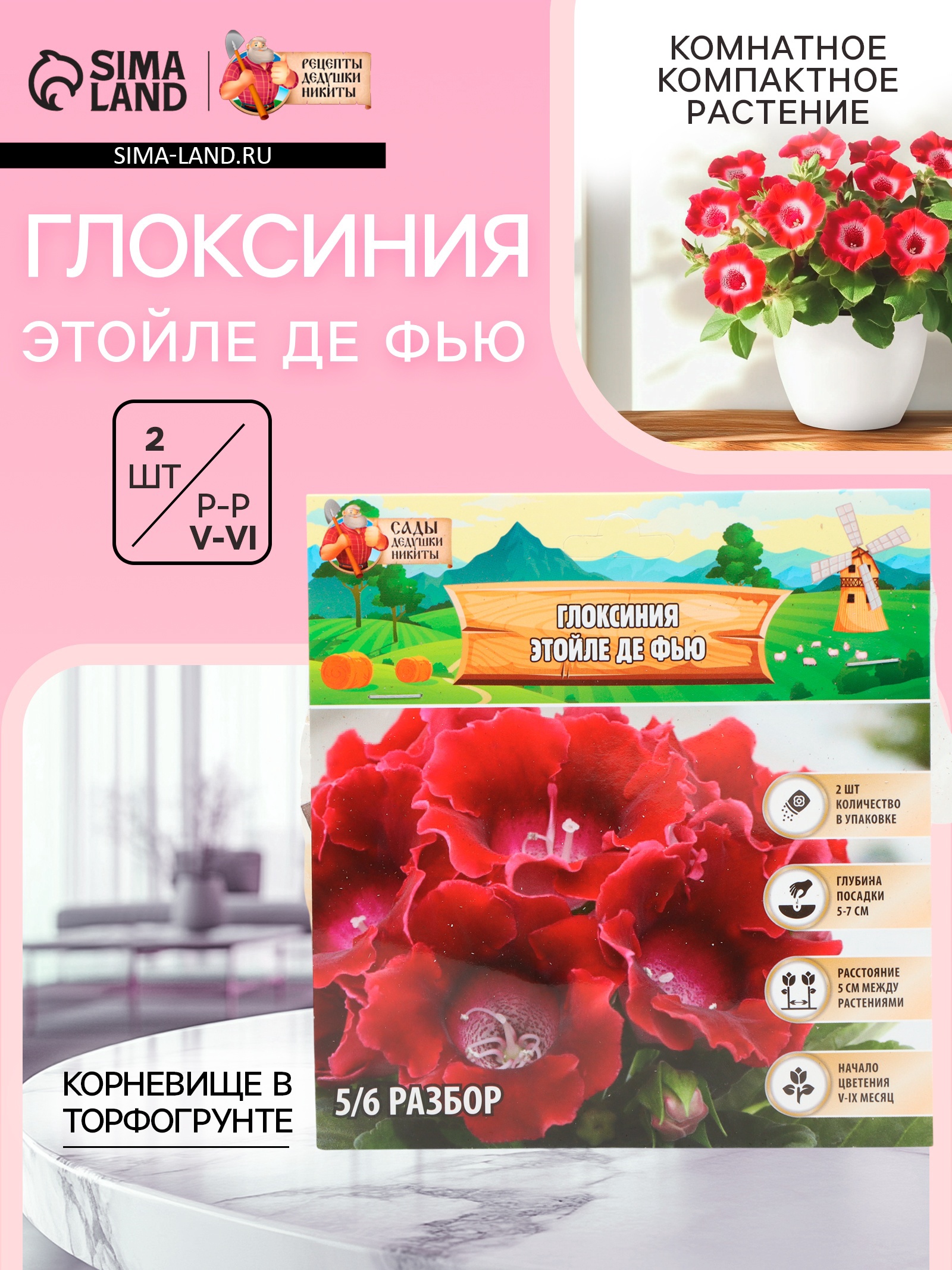 Глоксиния "Этойле де Фью", р-р 5/6, 2 шт (10279704) - Купить по цене от ...
