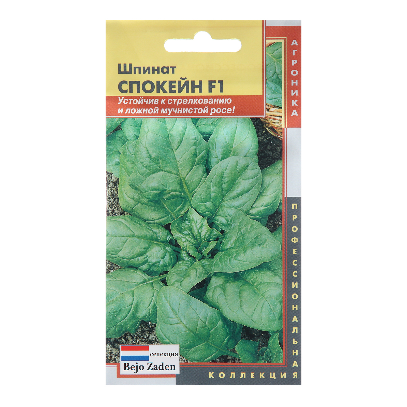 Семена Шпинат "Спокейн" F1 (10244874) - Купить по цене от 12.30 руб ...