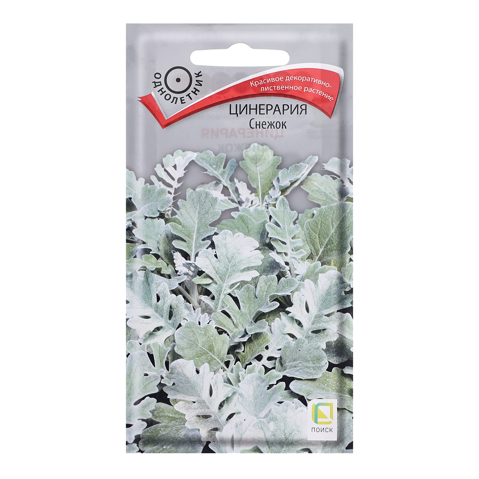 Семена цветов Цинерария "Снежок", 0,1гр. (10290496) - Купить по цене от ...