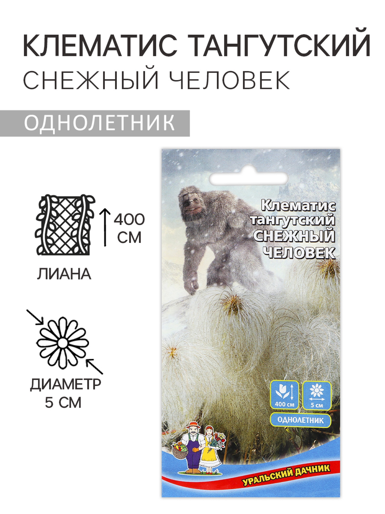 Семена Цветов Клематис тангутский "Снежный человек" ,10 шт , (10287703 ...