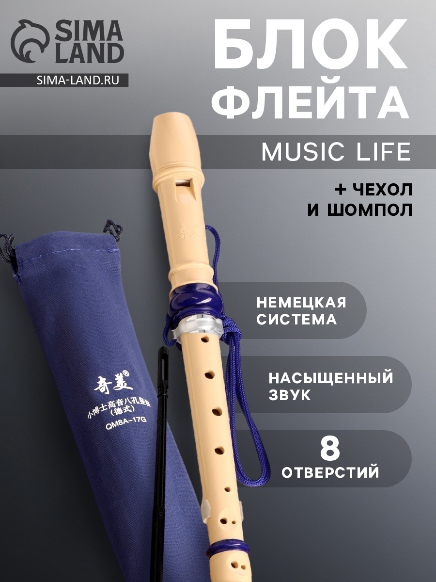 Блокфлейта Music Life, 8 отверстий, синий чехол, шомпол, 30 см ...