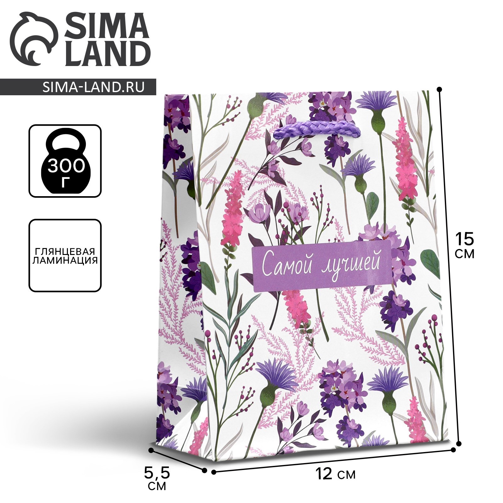 Упаковка подарочная, Пакет ламинированный «Самой лучшей», S 12 х 15 х 5 ...