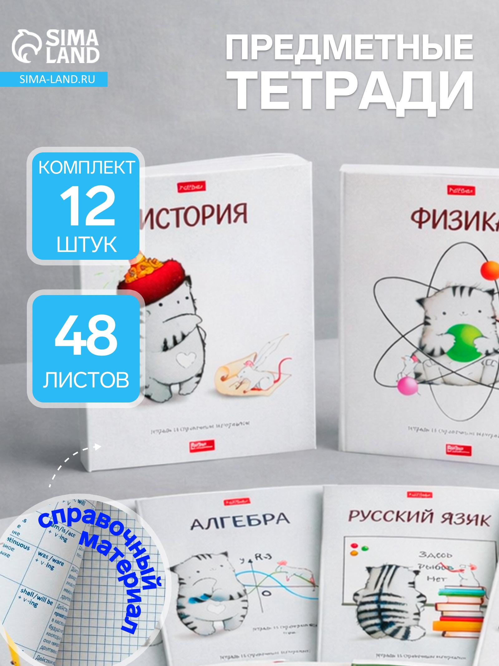 Набор предметных тетрадей 48 листов, 12 предметов Hatber «Приключения кота Пирожка» (90164 ...