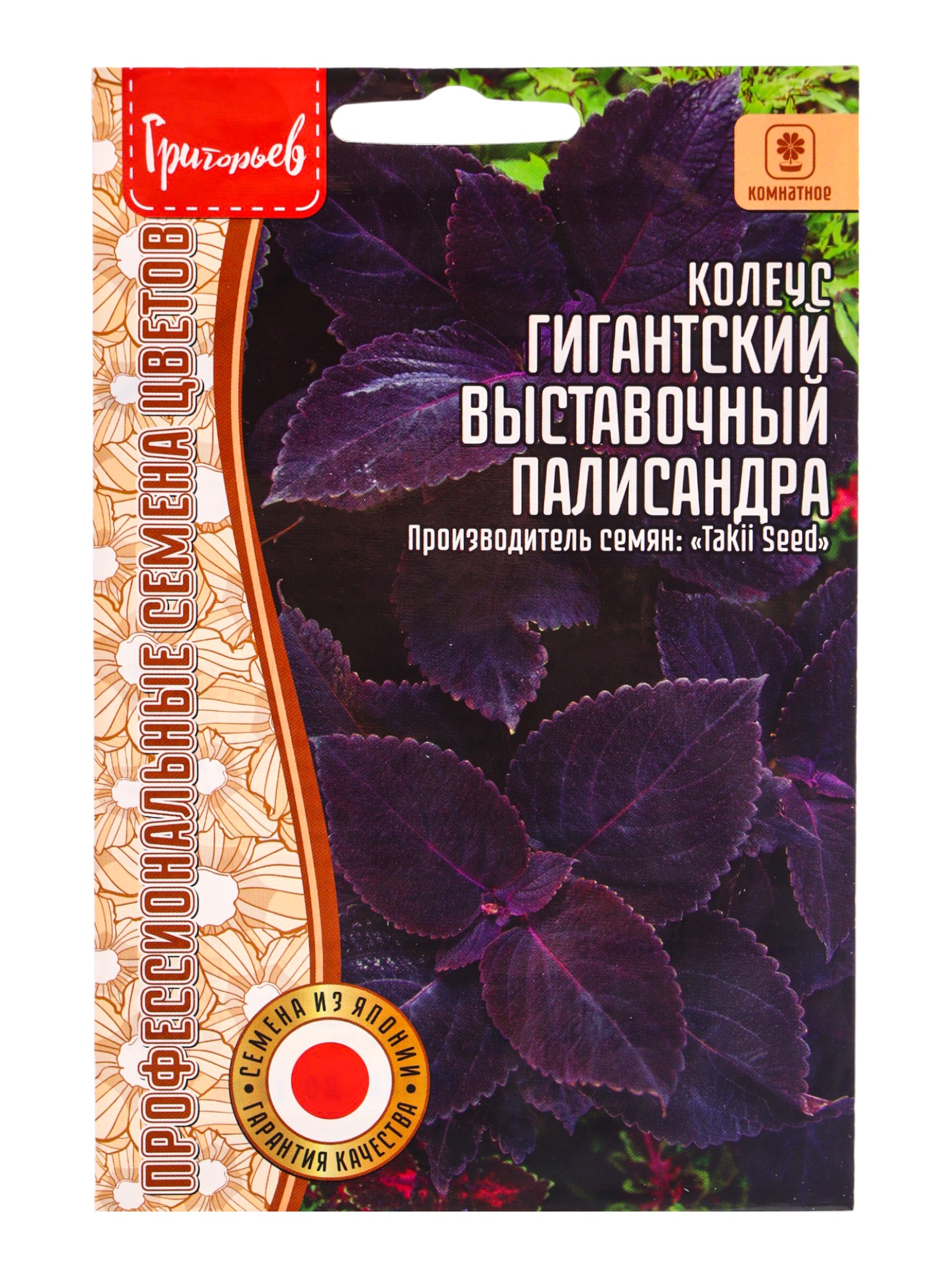 Семена цветов Колеус Гигантский Выставочный Палисандра (Giant ...